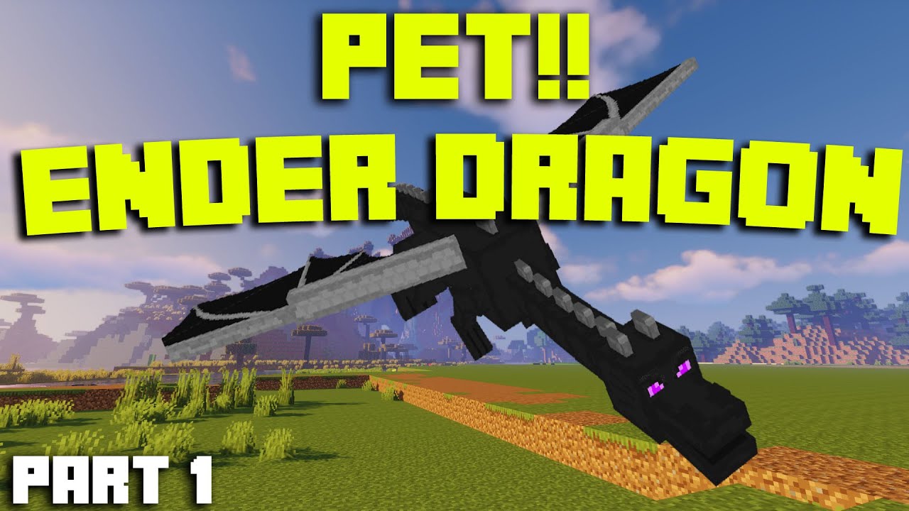 How To Train Your Dragon In Minecraft Pet Ender Dragon At Wayne Stevens