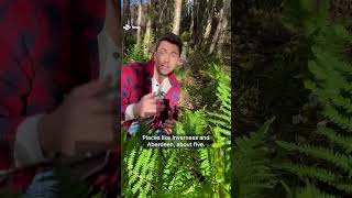 Sean Batty Five Weather Events To Look Out For In November Weather ...