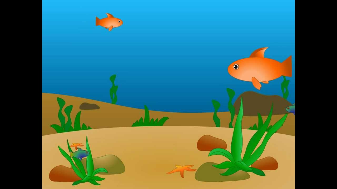 Underwater Animation Youtube