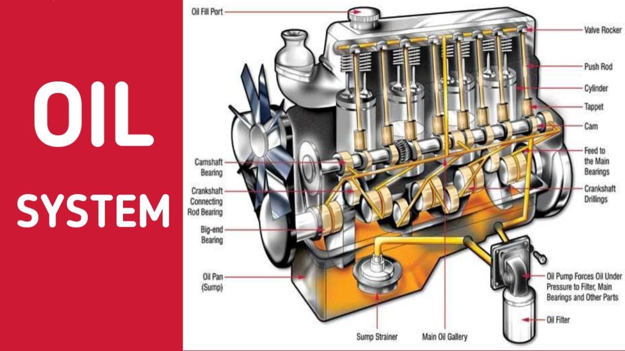 How Oil Circulates Around Your Engine When Started Youtube