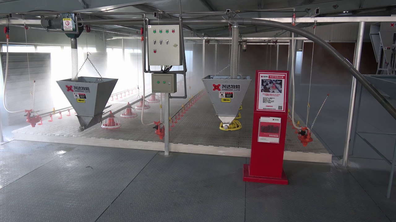 Precision Broiler Breeder Feeding System Automatic Feeding System