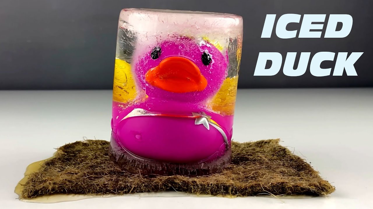 Purple Rubber Duck Time Lapse Ice Melting Youtube