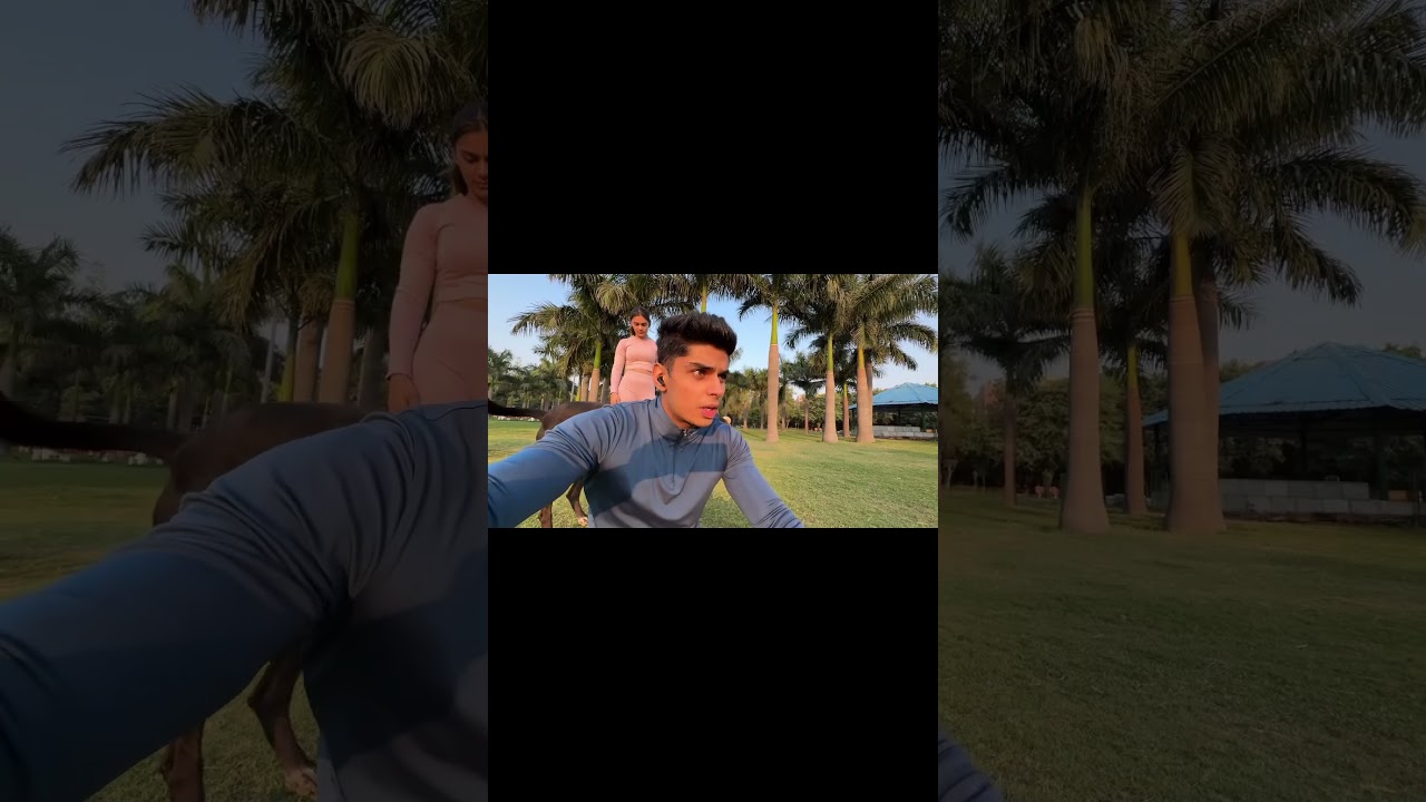 Darne Ki Need Nahi пёџ All They Want Is Love And Care рџ вђ Housepetscare