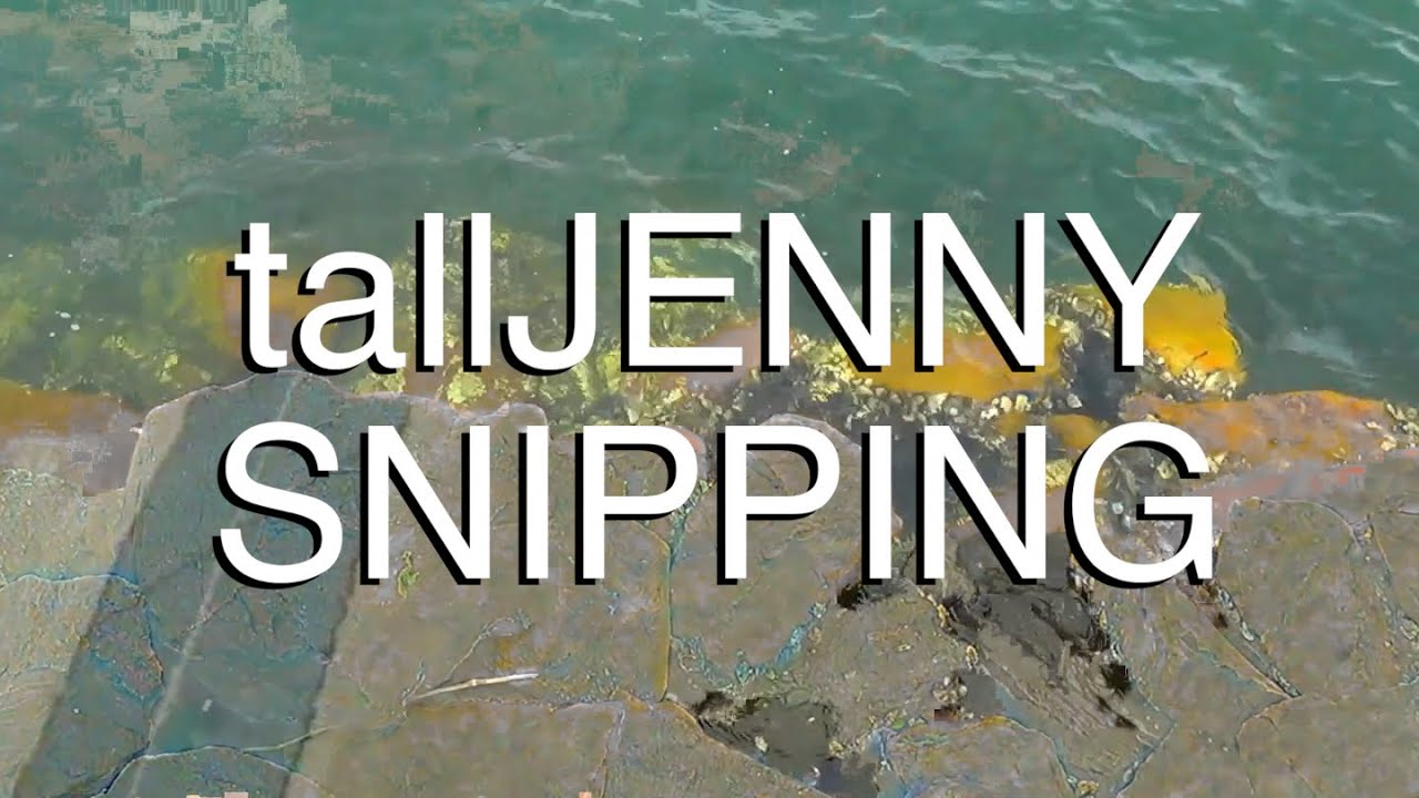 Snipping Youtube