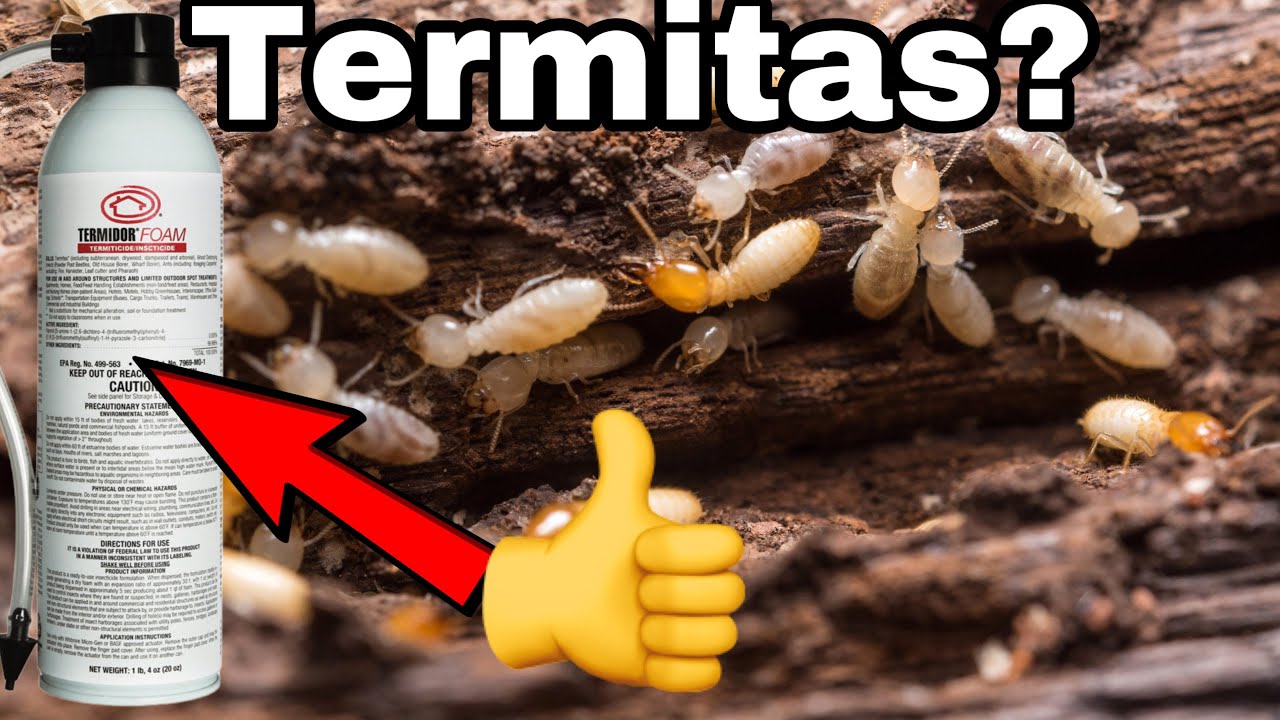 Tratamiento De Termitas En Casa