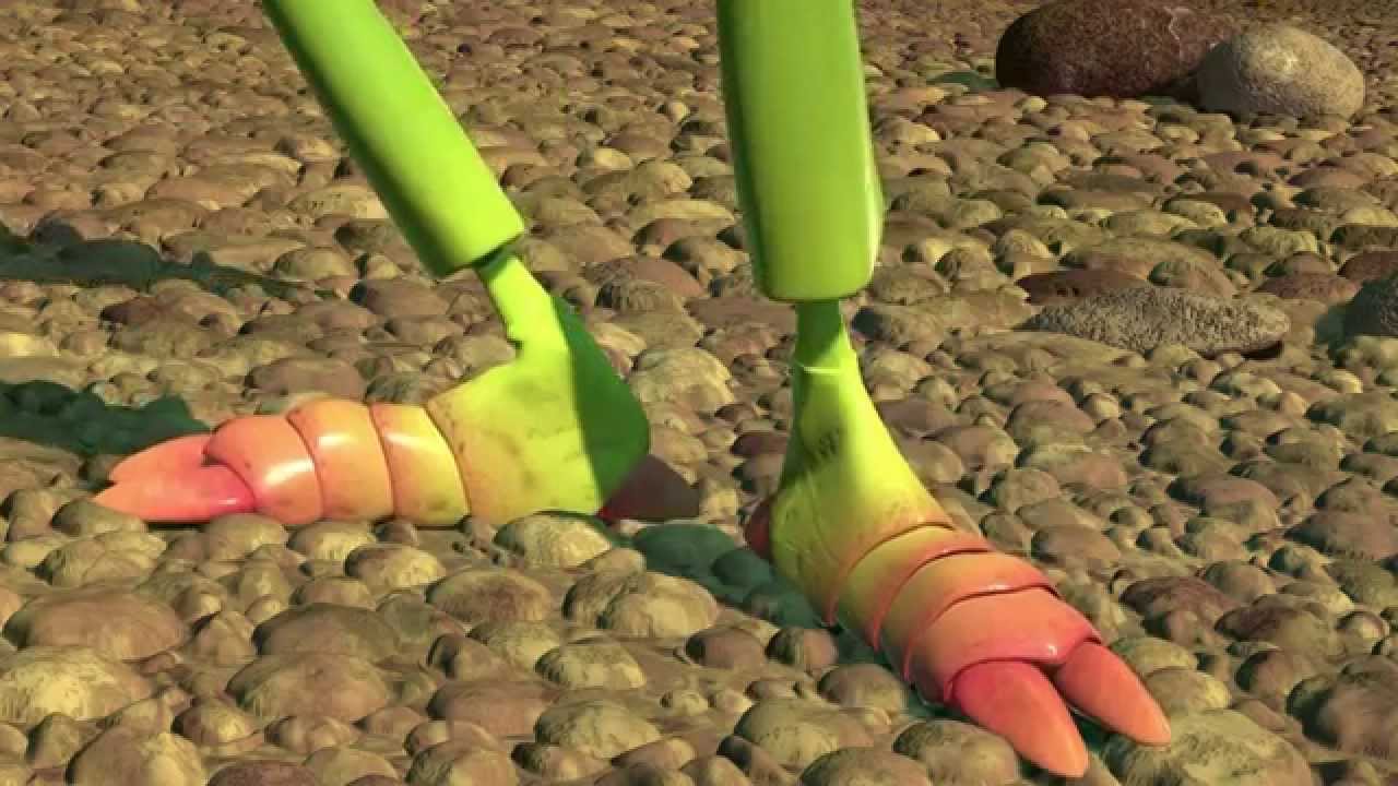 Suggested Feet Video Bugs Life Youtube