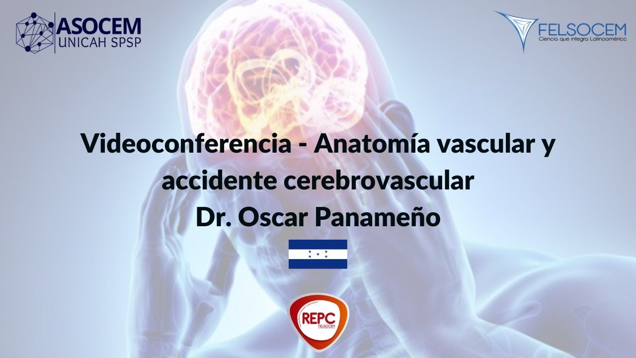 Videoconferencia Anatomía Vascular Y Accidente Cerebrovascular Youtube