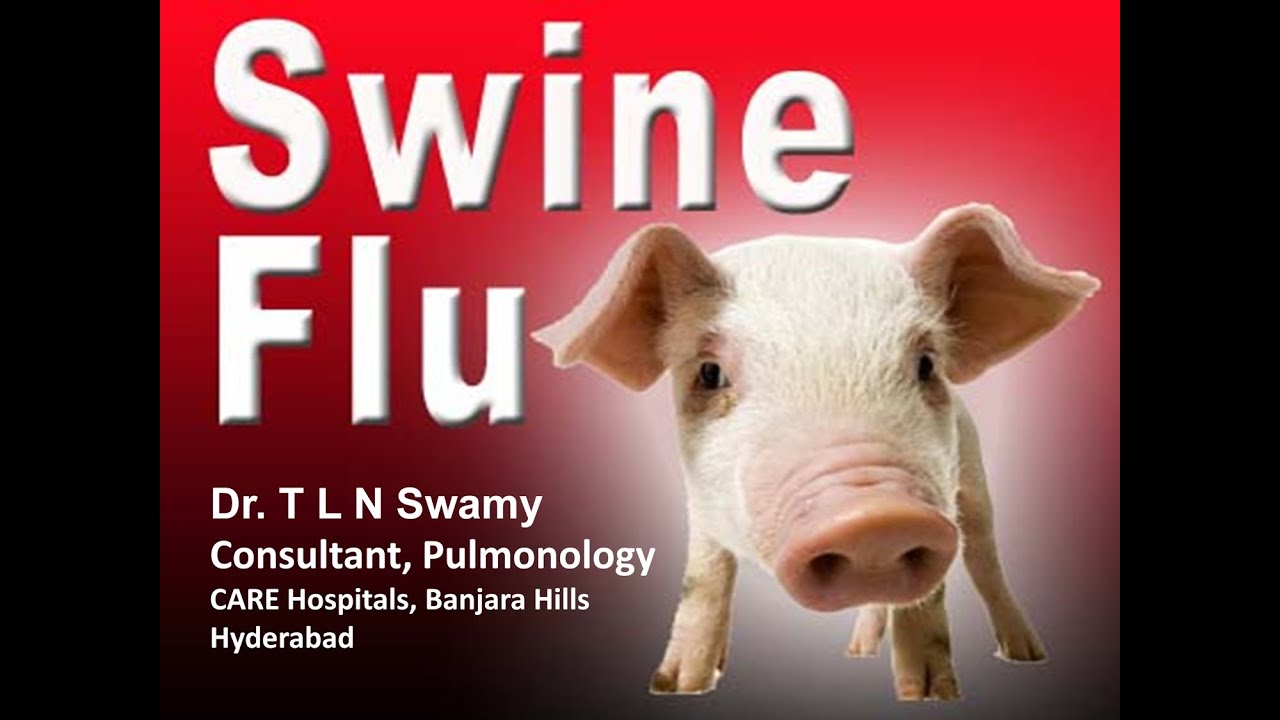 Know About Swine Flu Youtube