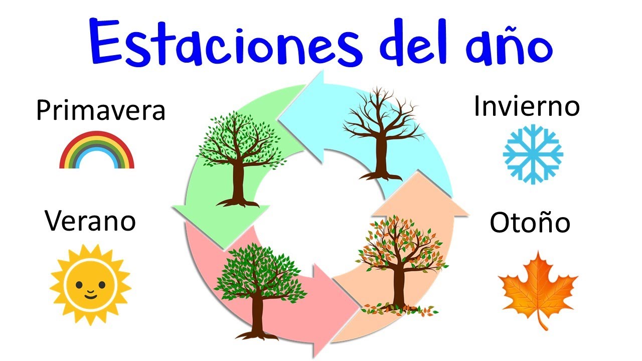 Estaciones Del Año Qué Son Cuáles Son Y Sus Características Kcdqg