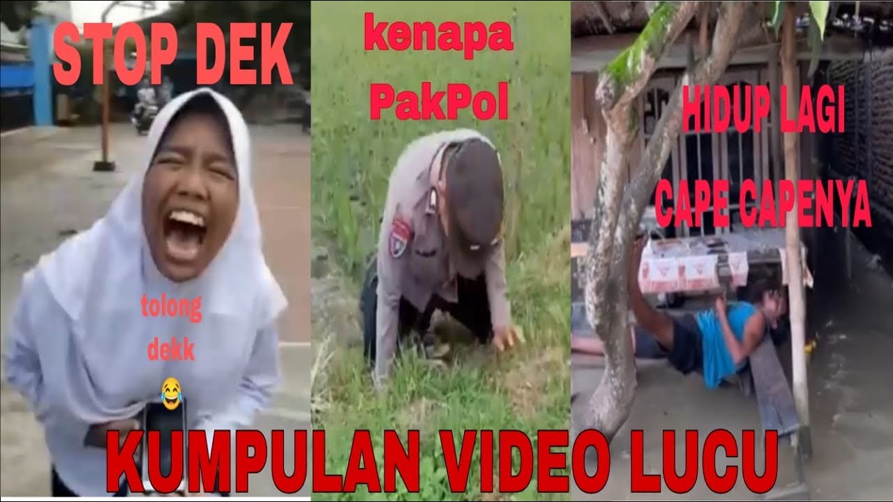 Kumpulan Video Lucu Fyp Youtube