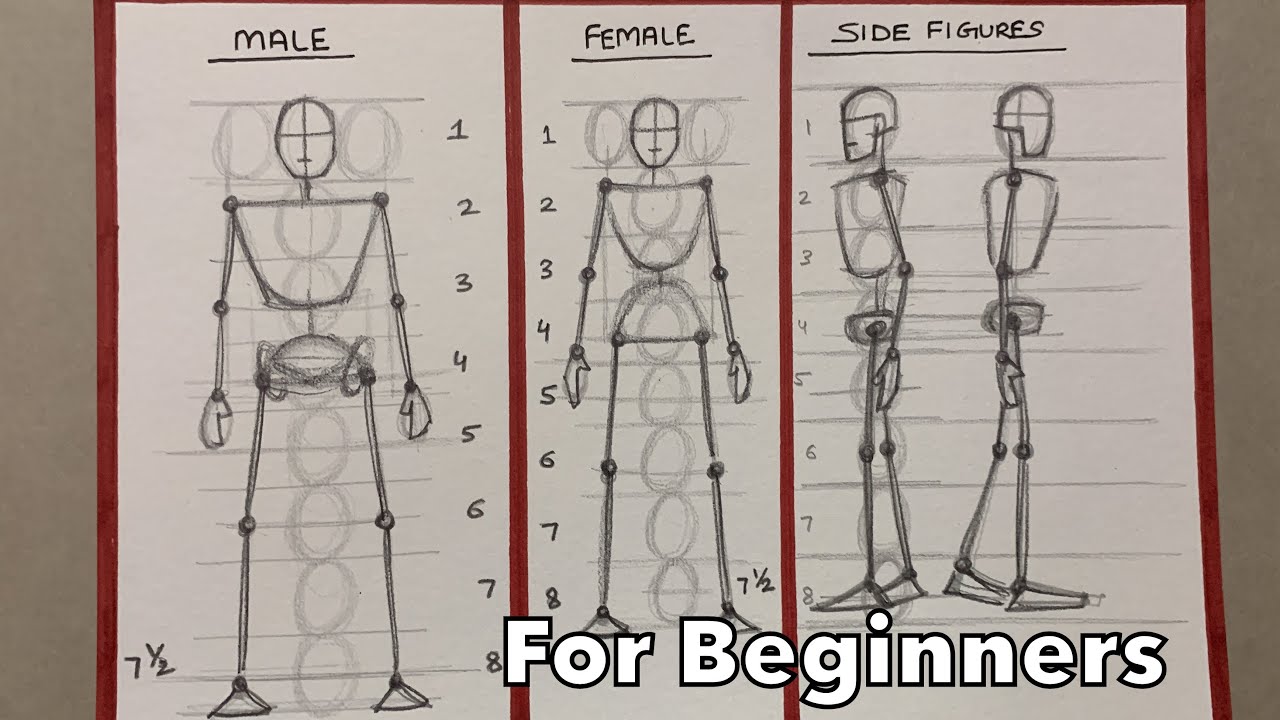How To Draw A Human Figure Step By Step For Beginners At Dustin