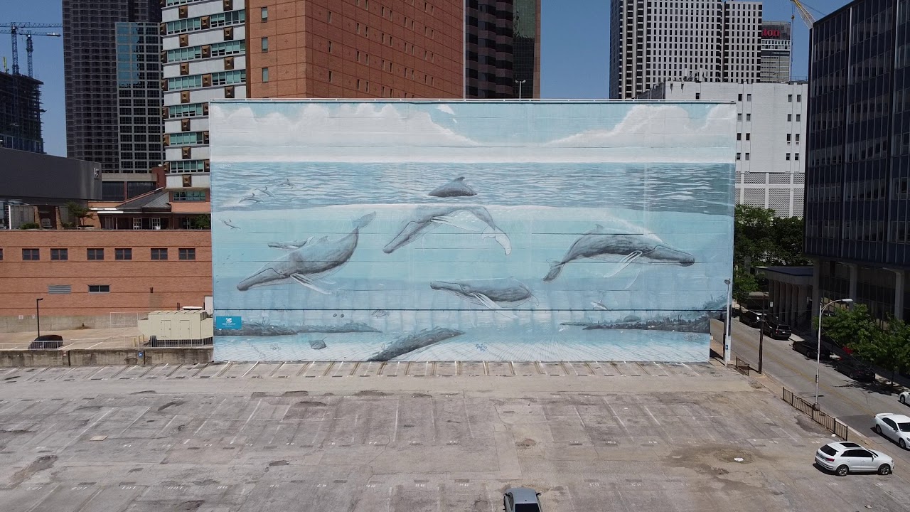 Whale Mural Dallas Tx Youtube