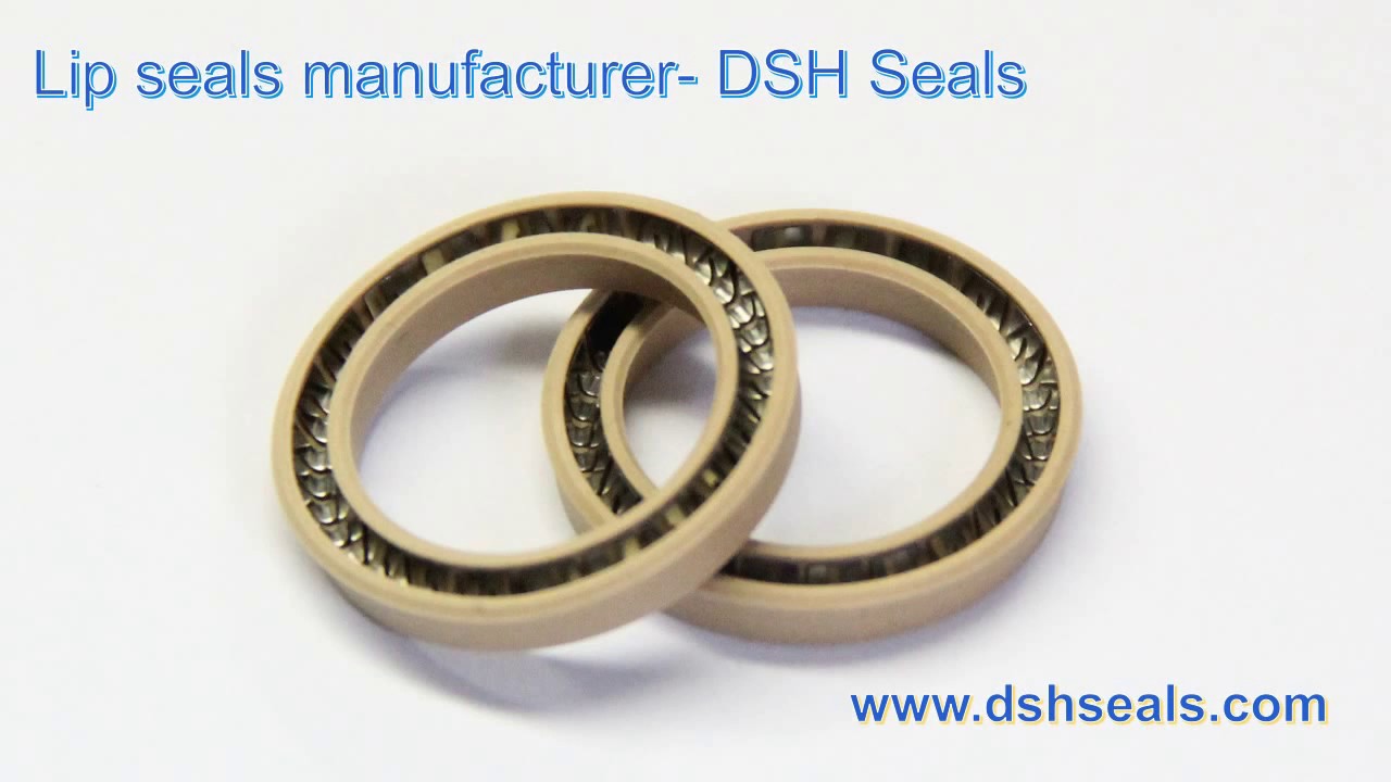 Lip Seals Manufacturer Youtube