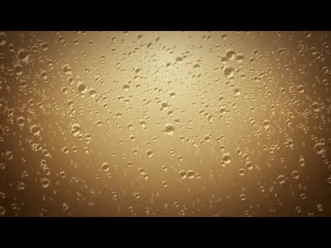 Golden Champagne Bubbles Coming Up Stock Motion Graphics Youtube