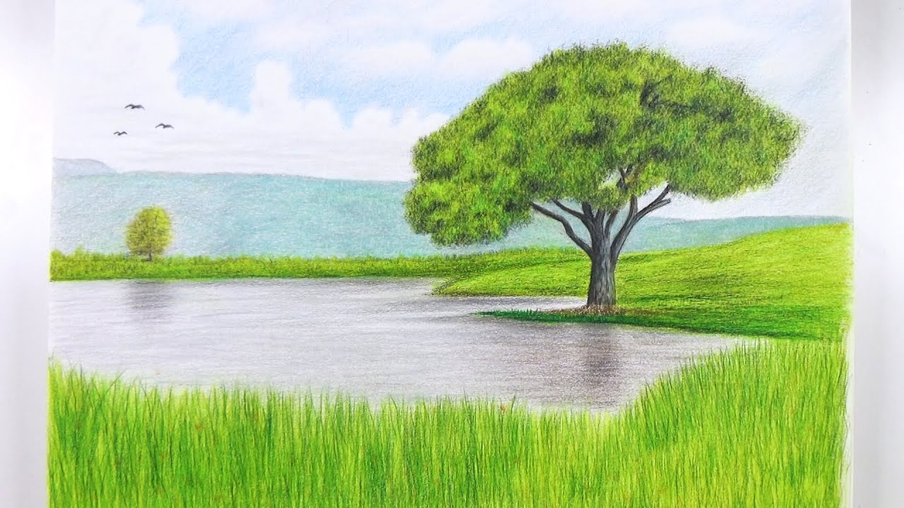Pencil Colour Landscape Drawing A Beginner S Guide