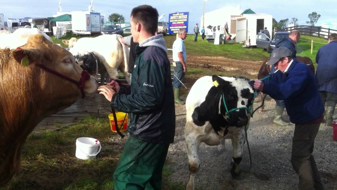 Tullamore Show Youtube