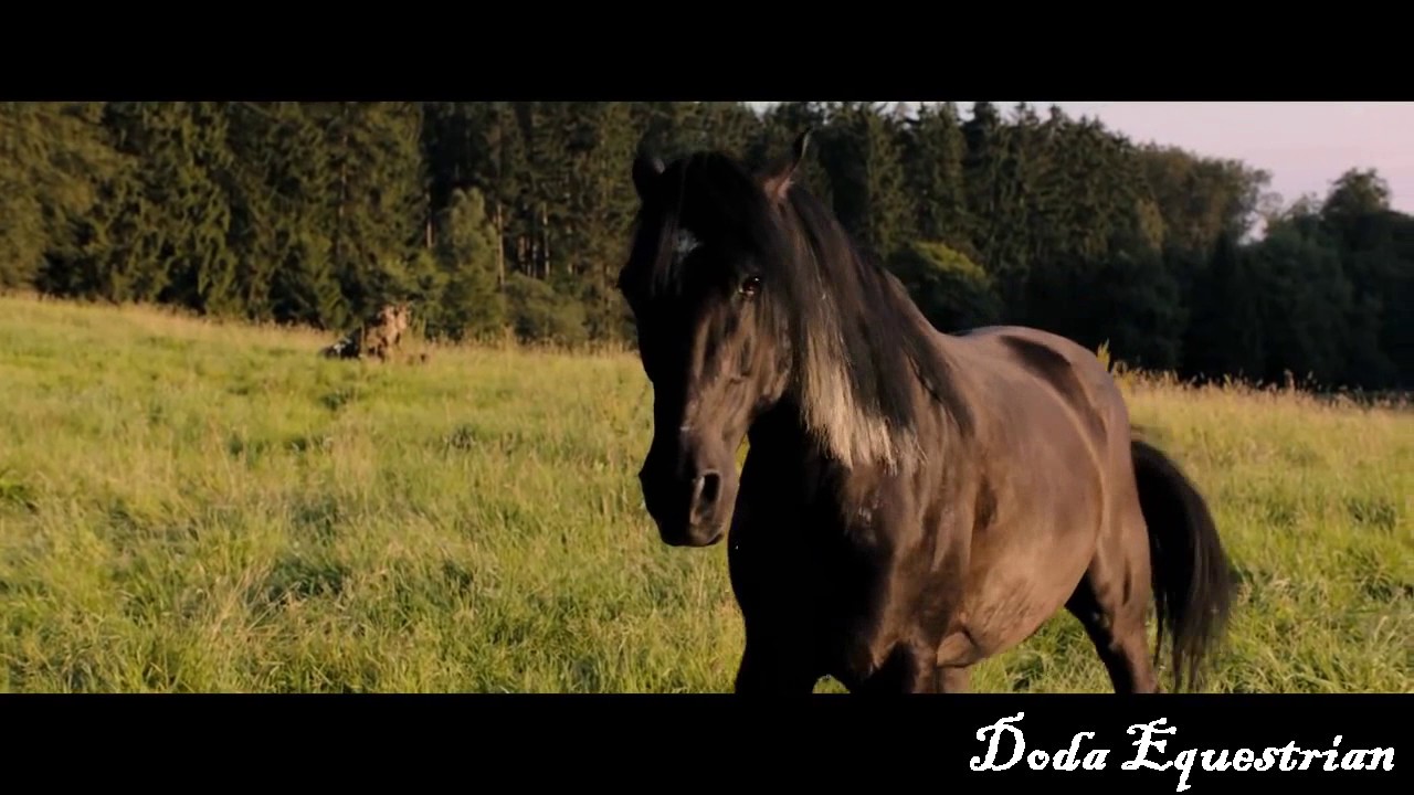Wicher 2 Ostwind 2 Music Video Take Flight Youtube