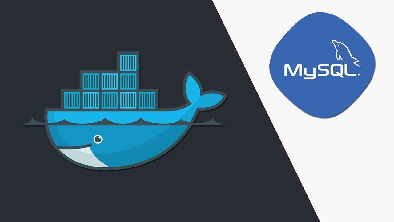 Run Mysql In Docker Container Youtube