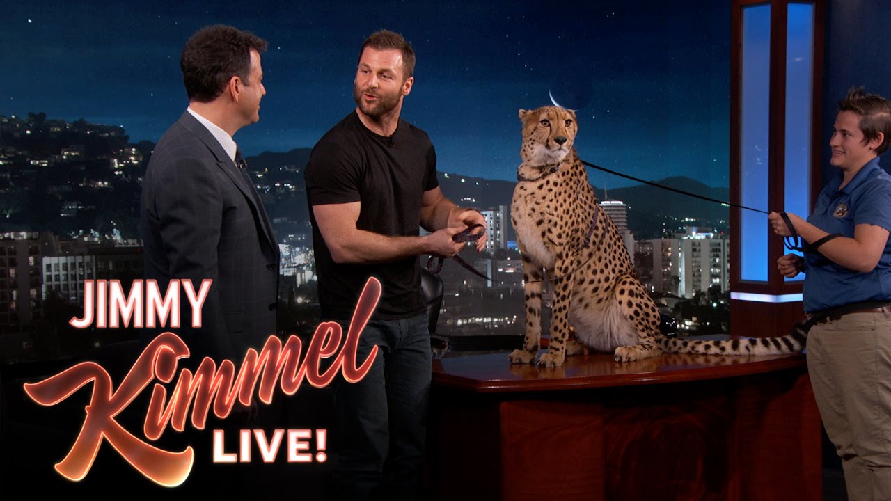 Wild Animals With Dave Salmoni Youtube