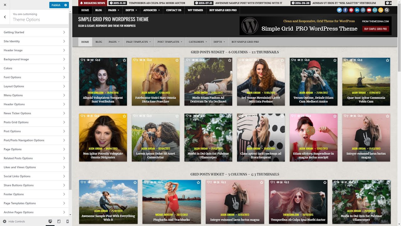 Customizer Theme Options Simple Grid Pro Wordpress Theme Youtube