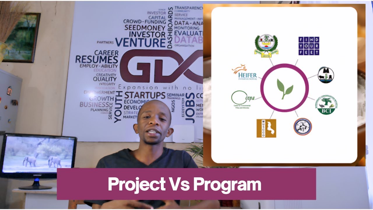 Project Vs Program Explained With Real Life Examples Youtube