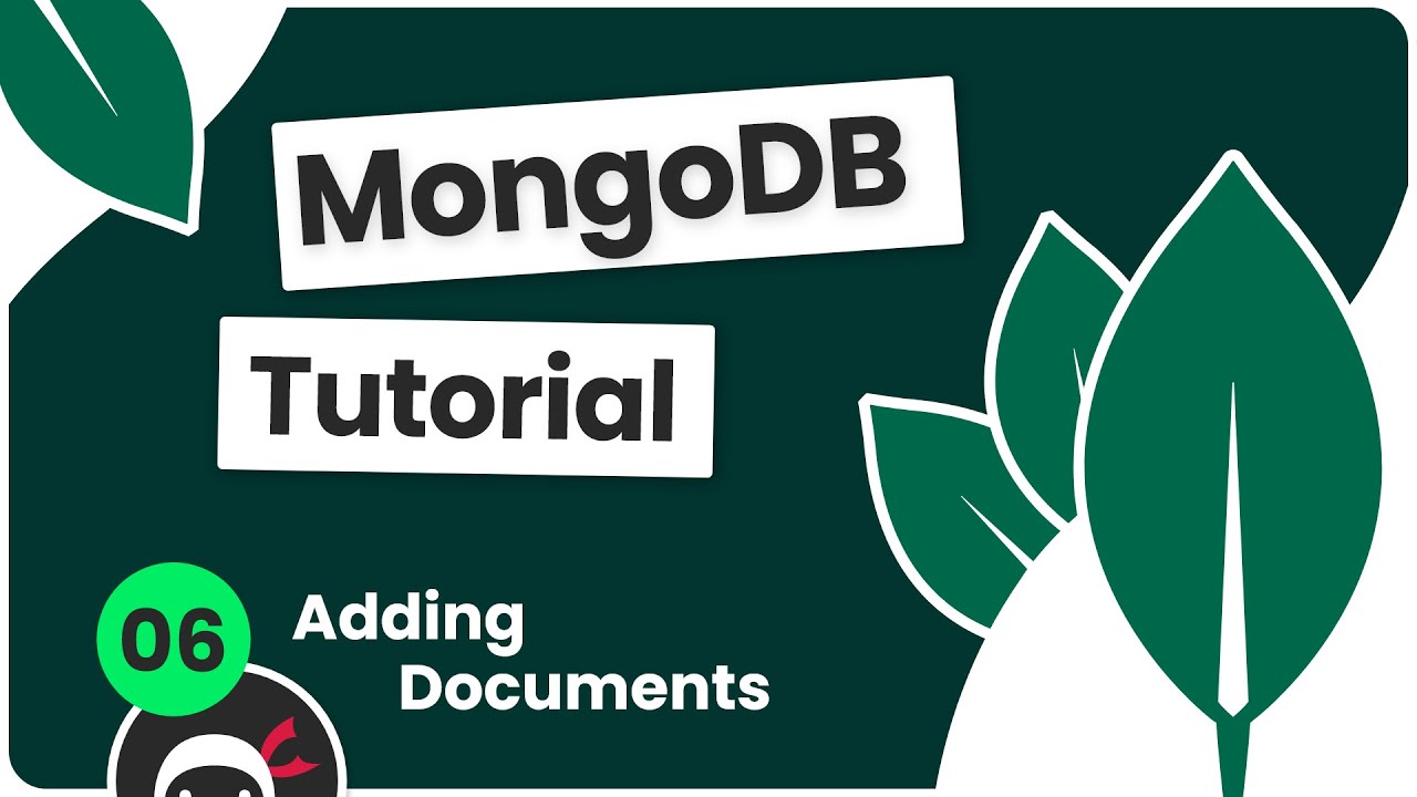 Complete Mongodb Tutorial 6 Adding New Documents Youtube