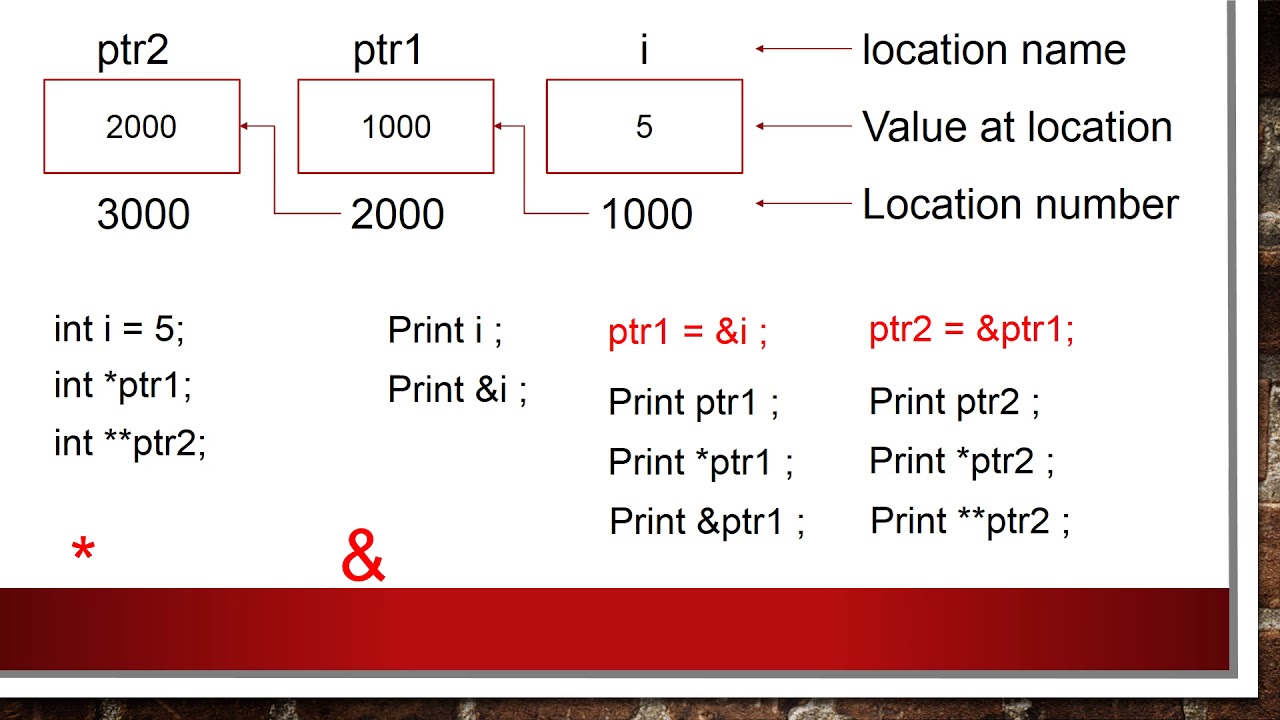 C Programming Introduction To Pointers How To Use Double Pointer