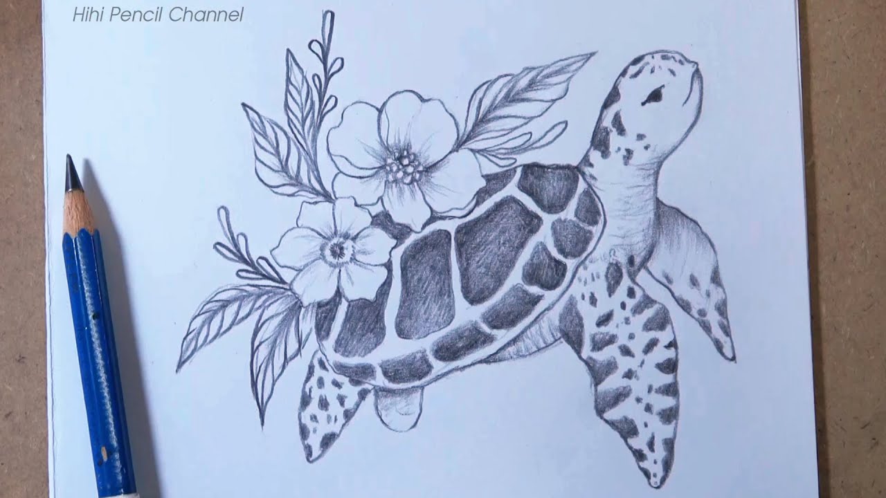 How To Draw Sea Turtle And Flowers Pencil Drawing Youtube