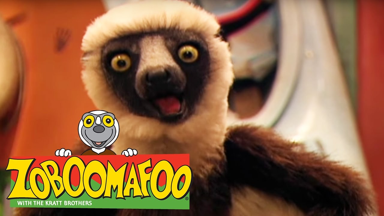 Zoboomafoo Episodes