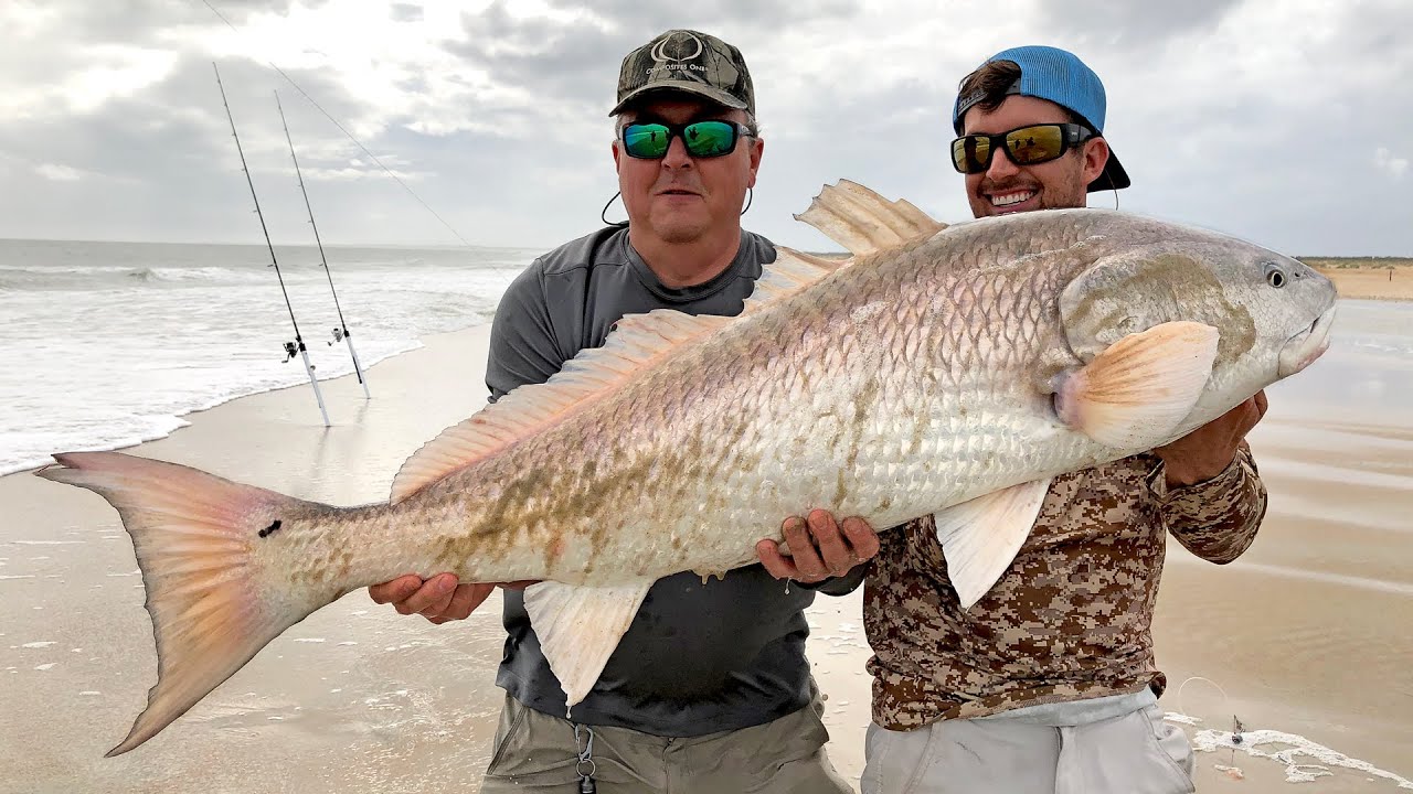 Monster Red Drum And Sharks From The Beach Youtube