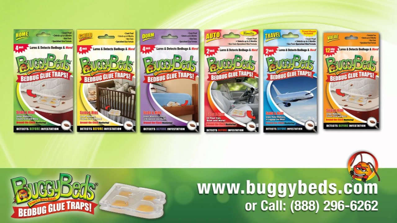Buggybeds Youtube