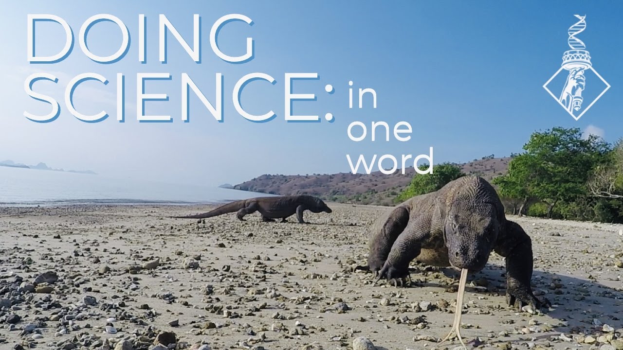 What S Your Favorite Thing About Science Ing Sciall Org Youtube