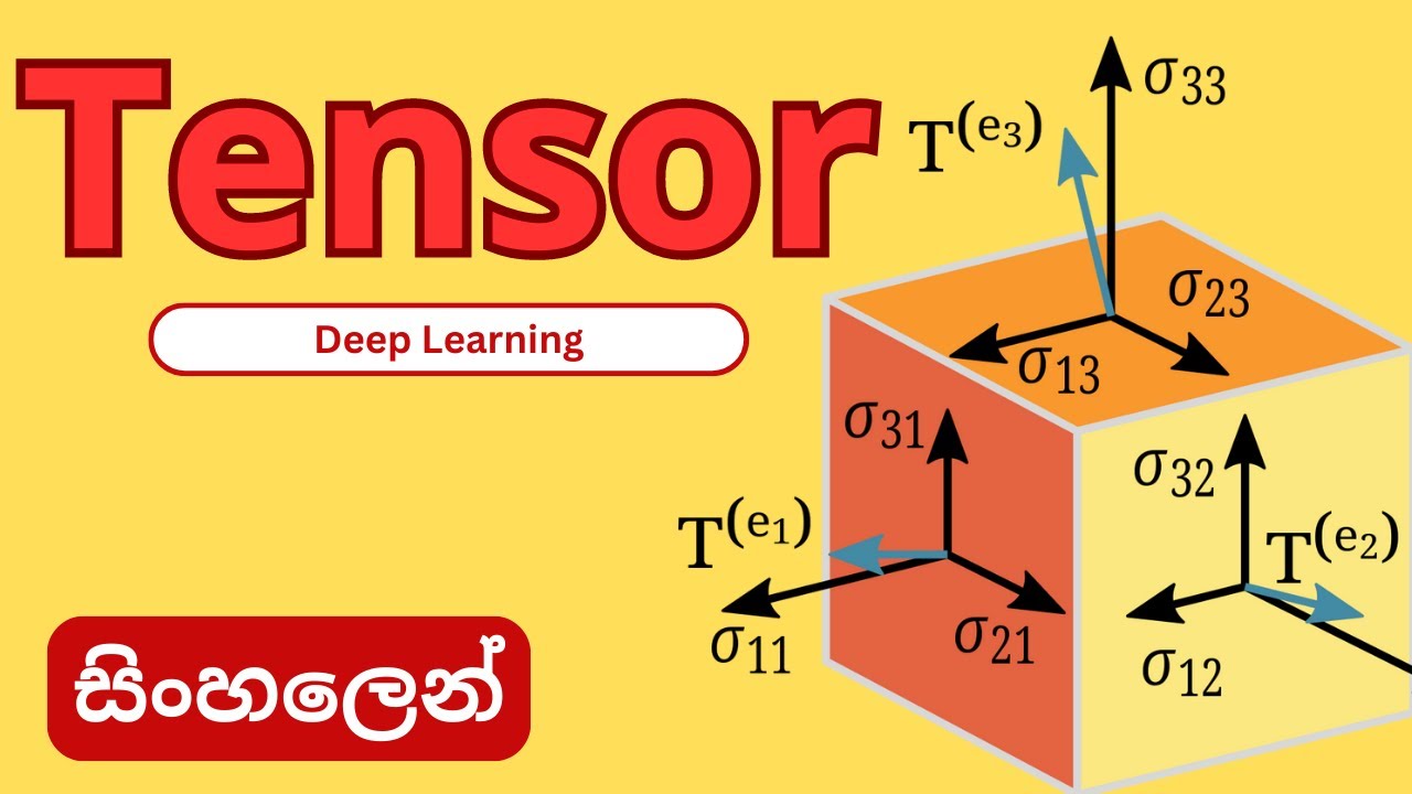 Tensor Vs Numpy Array Sinhala Youtube