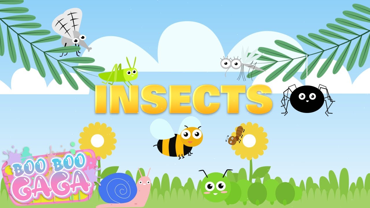 Insect Song Bugs Song Insects For Kids By Boo Boo Gaga