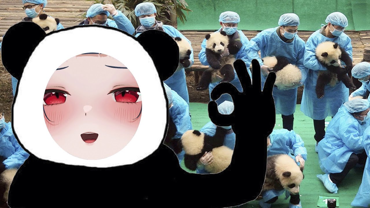 Panda Youtube