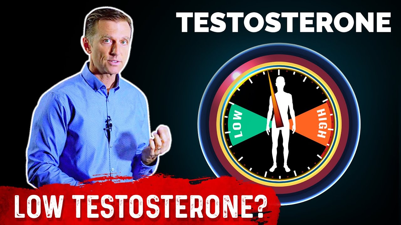 Shrinking Testicles And Man Boobs Dr Berg Youtube