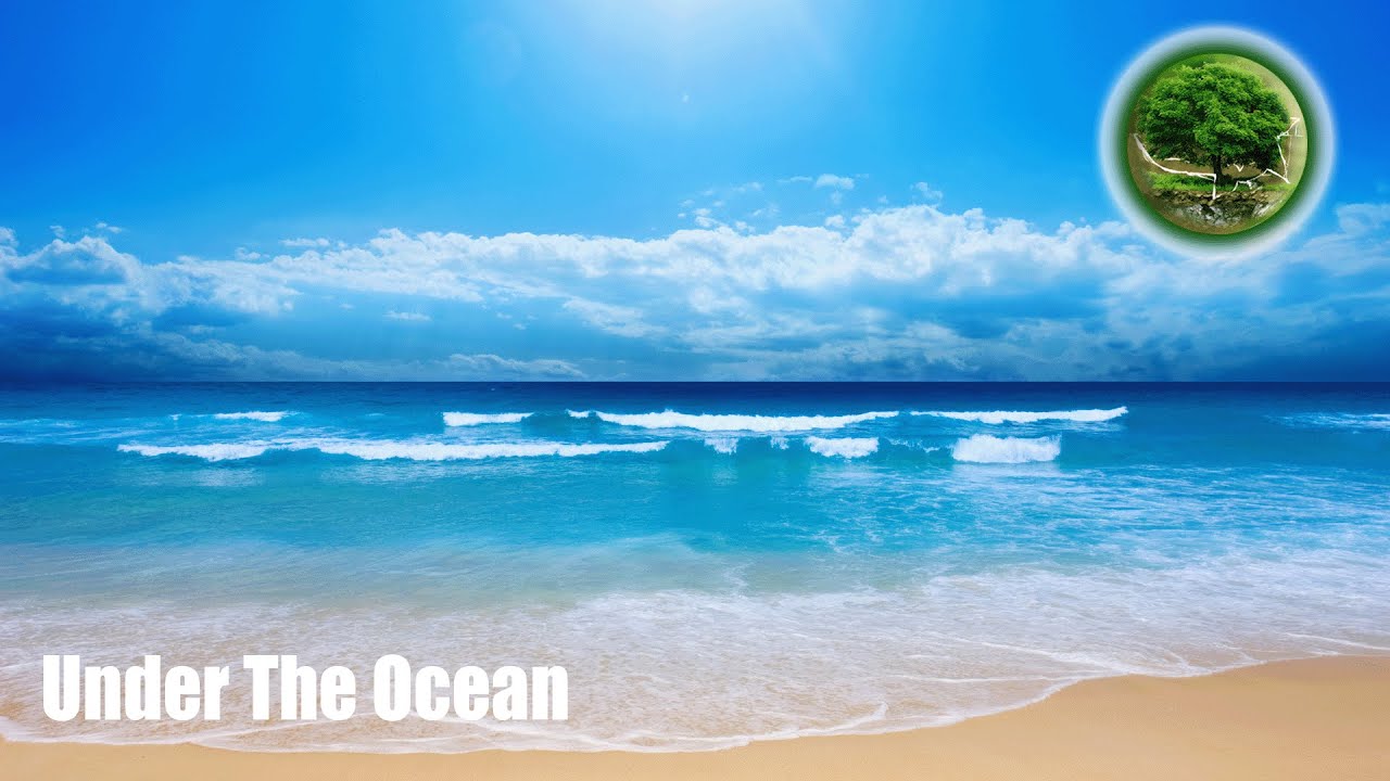 Beautiful Relaxing Music Underwater Edition Study Relaxing