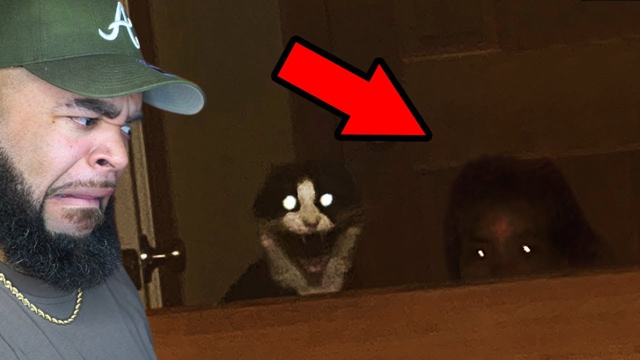 Scary Comp 100 Live Youtube