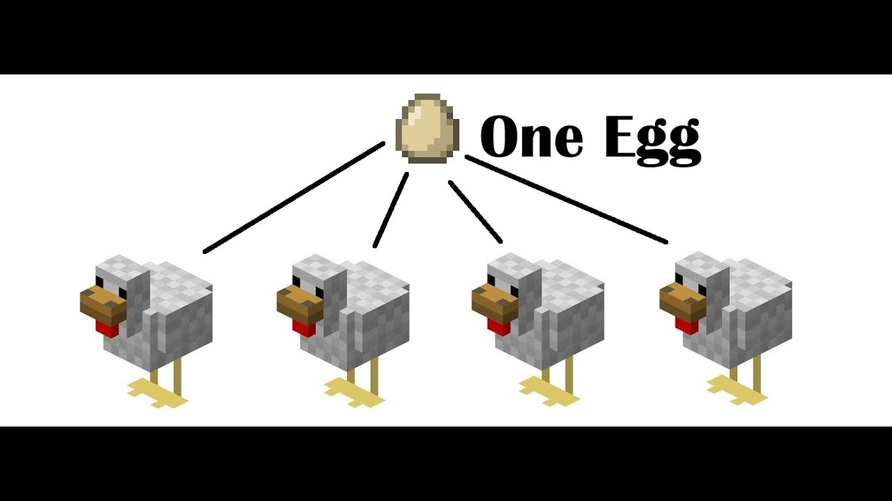 One Egg Spawns Four Chickens Youtube