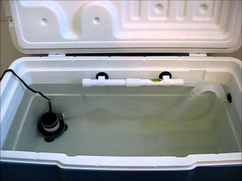 Portable Cooler Livewell Youtube