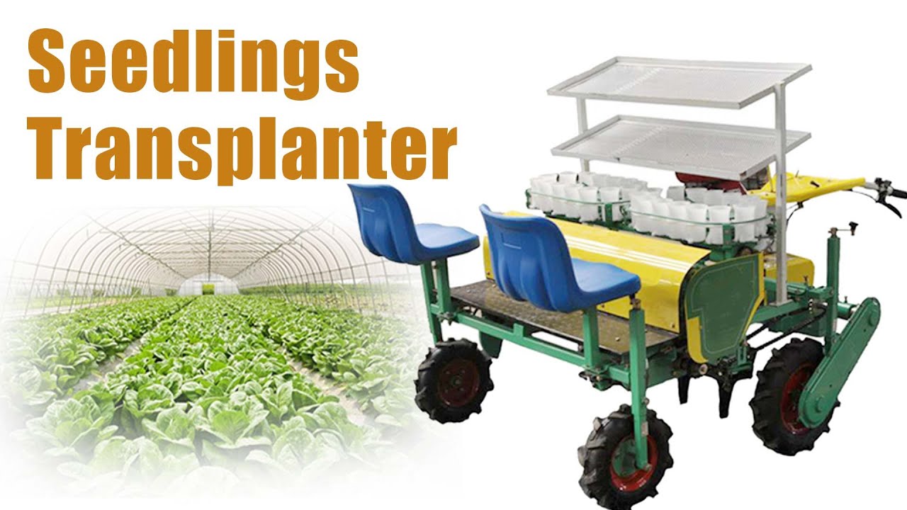 Seedling Transplanter China Vegetable Seed Planter Handheld Supplier