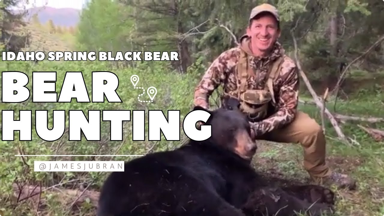 Idaho Spring Black Bear Hunt Youtube