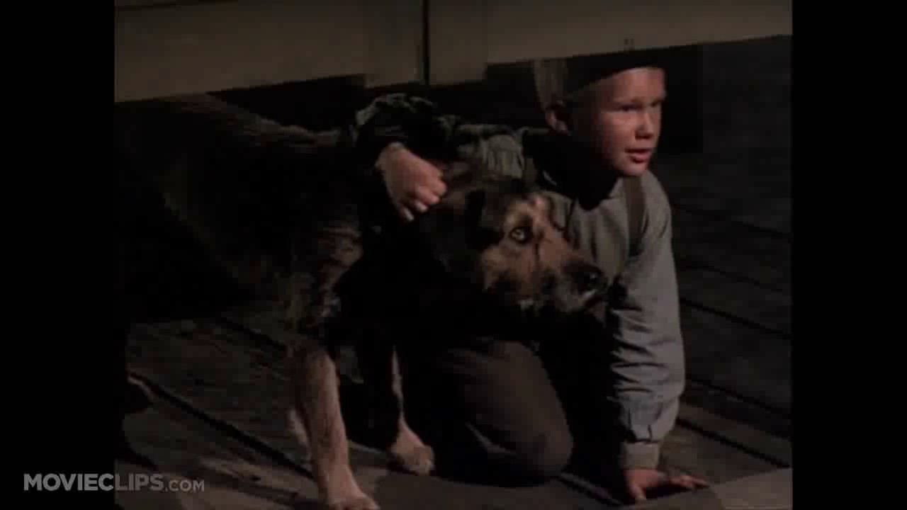 Low Down Yankee Liar Shane 7 8 Movie Clip 1953 Hd Youtube