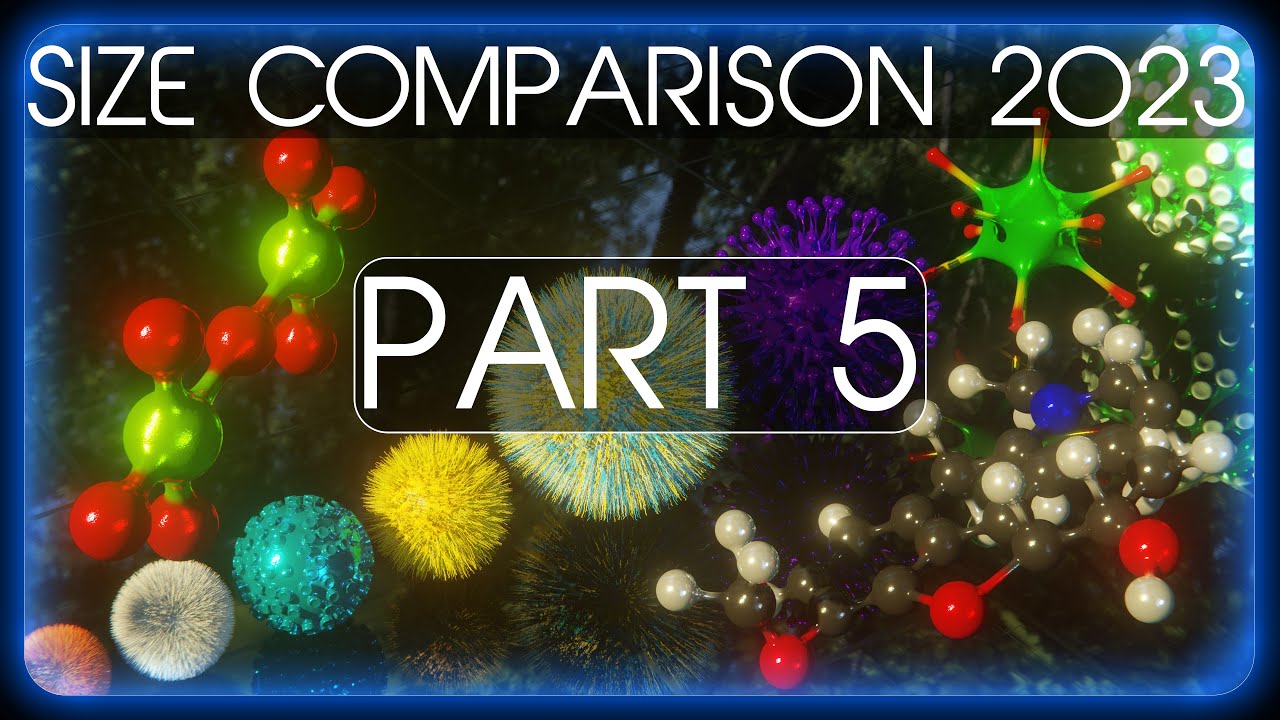 Absolute Size Comparison 2023 Part 5 4k 60fps 3d Youtube