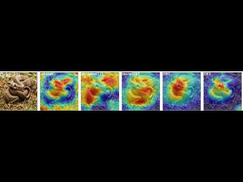 Visualizing Efficientnet Youtube