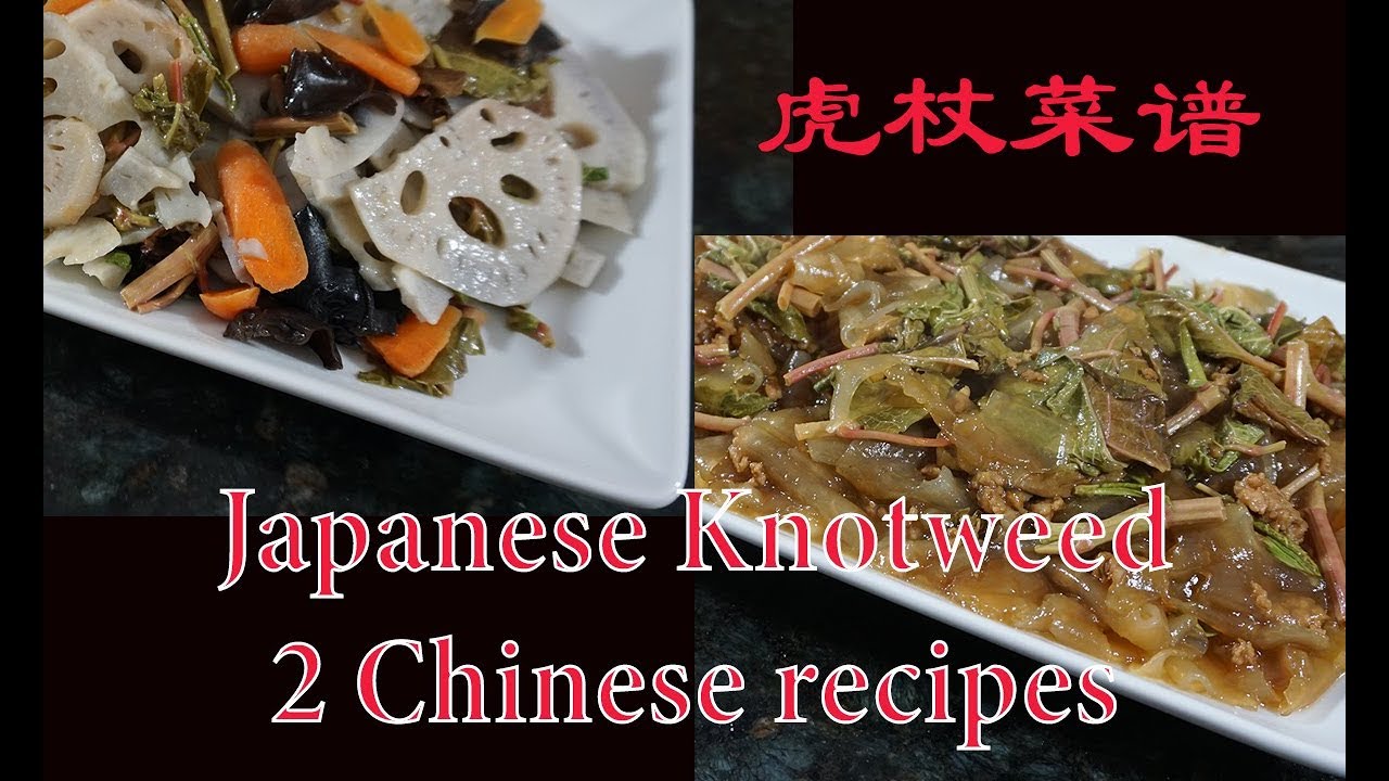 Japanese Knotweed Chinese Recipes 日本虎杖藕片 日本虎杖粉皮 虎杖菜谱 Youtube