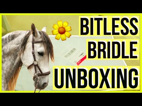 F R A Bitless Bridle Unboxing Youtube
