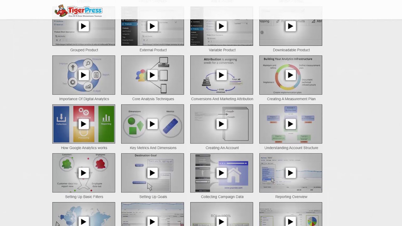 Wp Training Youtube