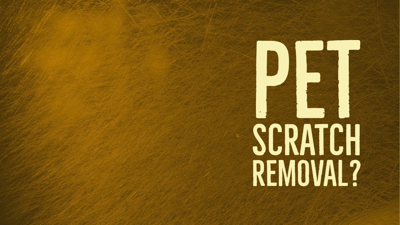 Can Dog Scratches Be Removed From Glass Is Diy Scratch Removal A Good