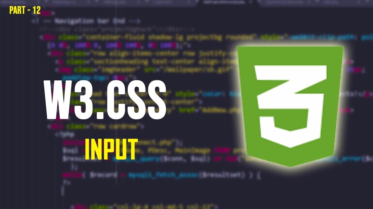 W3 Css Beginners Tutorial W3 Css Input Youtube
